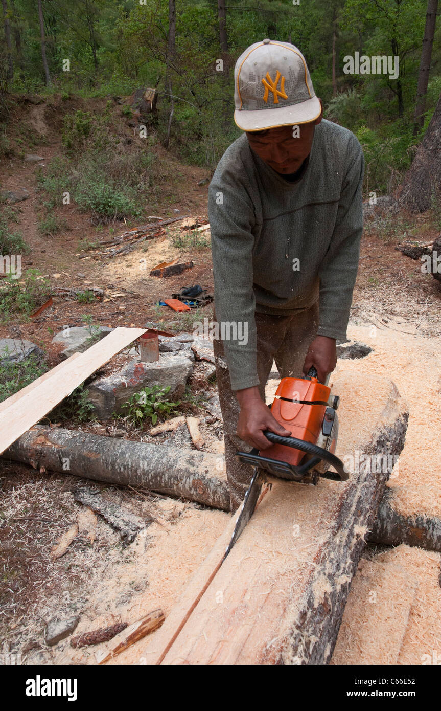 Logging in Bhutan. man at work on timber. paro. Bhutan Stock Photo - Alamy