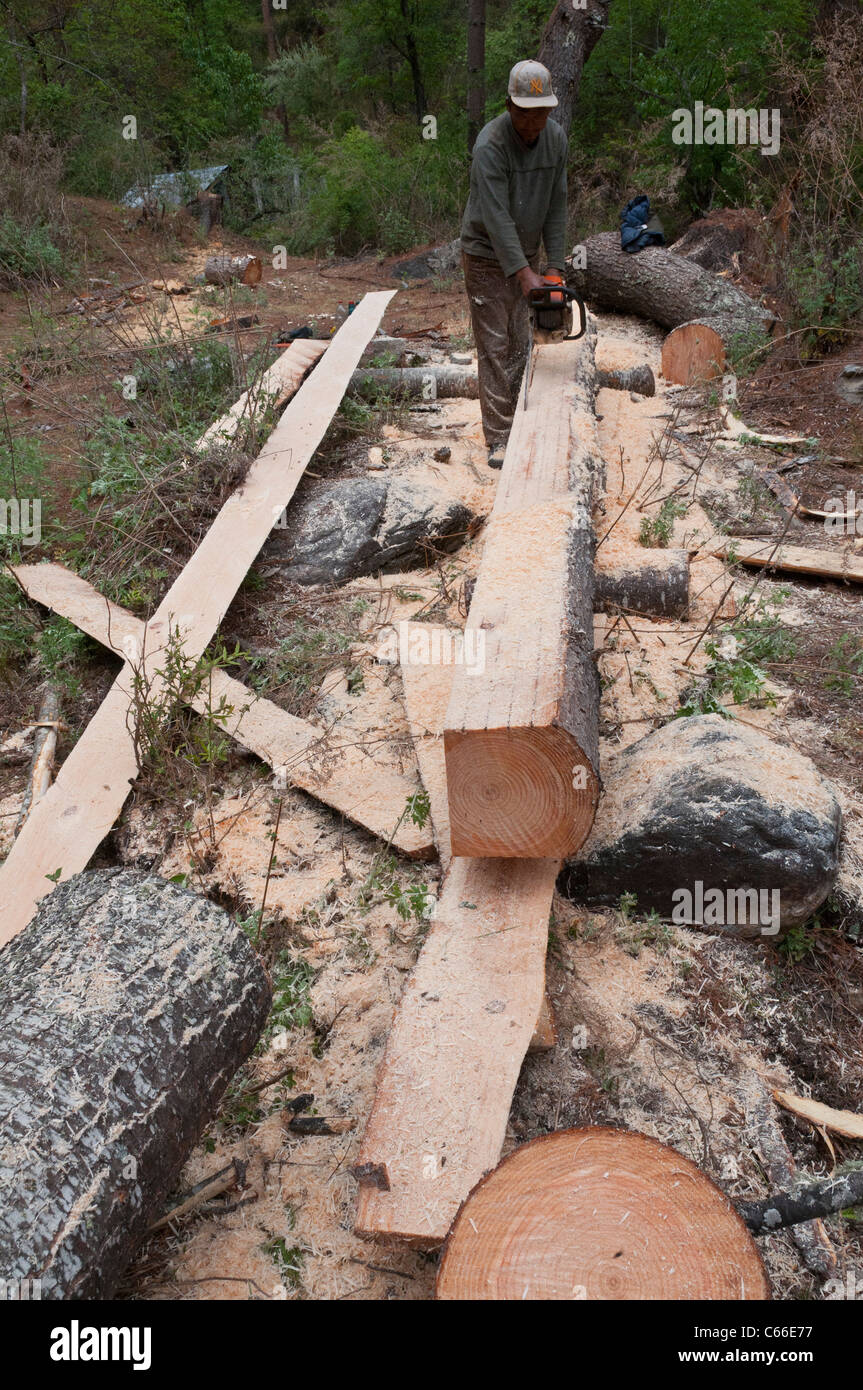 Logging in Bhutan. man at work on timber. paro. Bhutan Stock Photo - Alamy