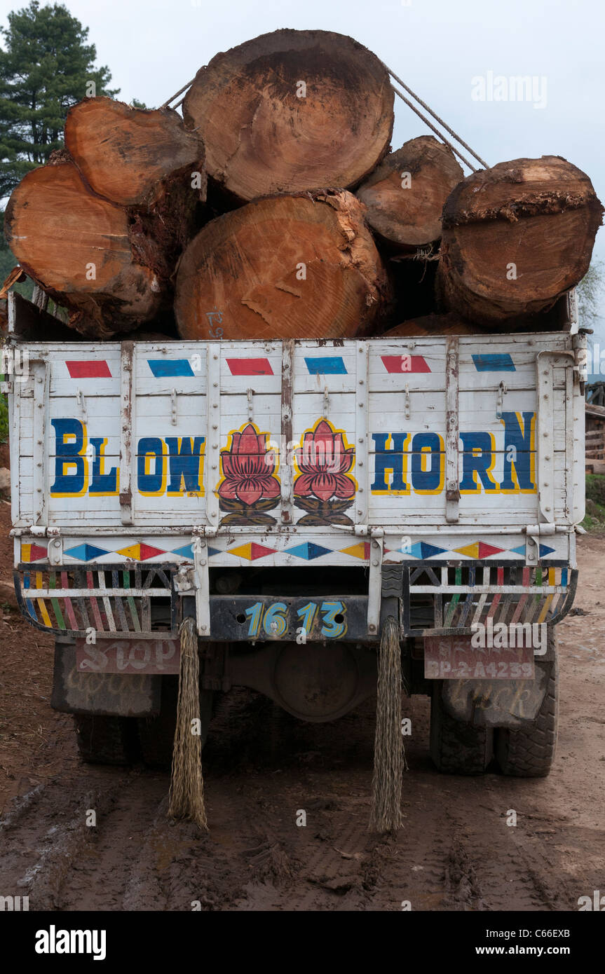 Logging truck carrying logs hi-res stock photography and images - Alamy