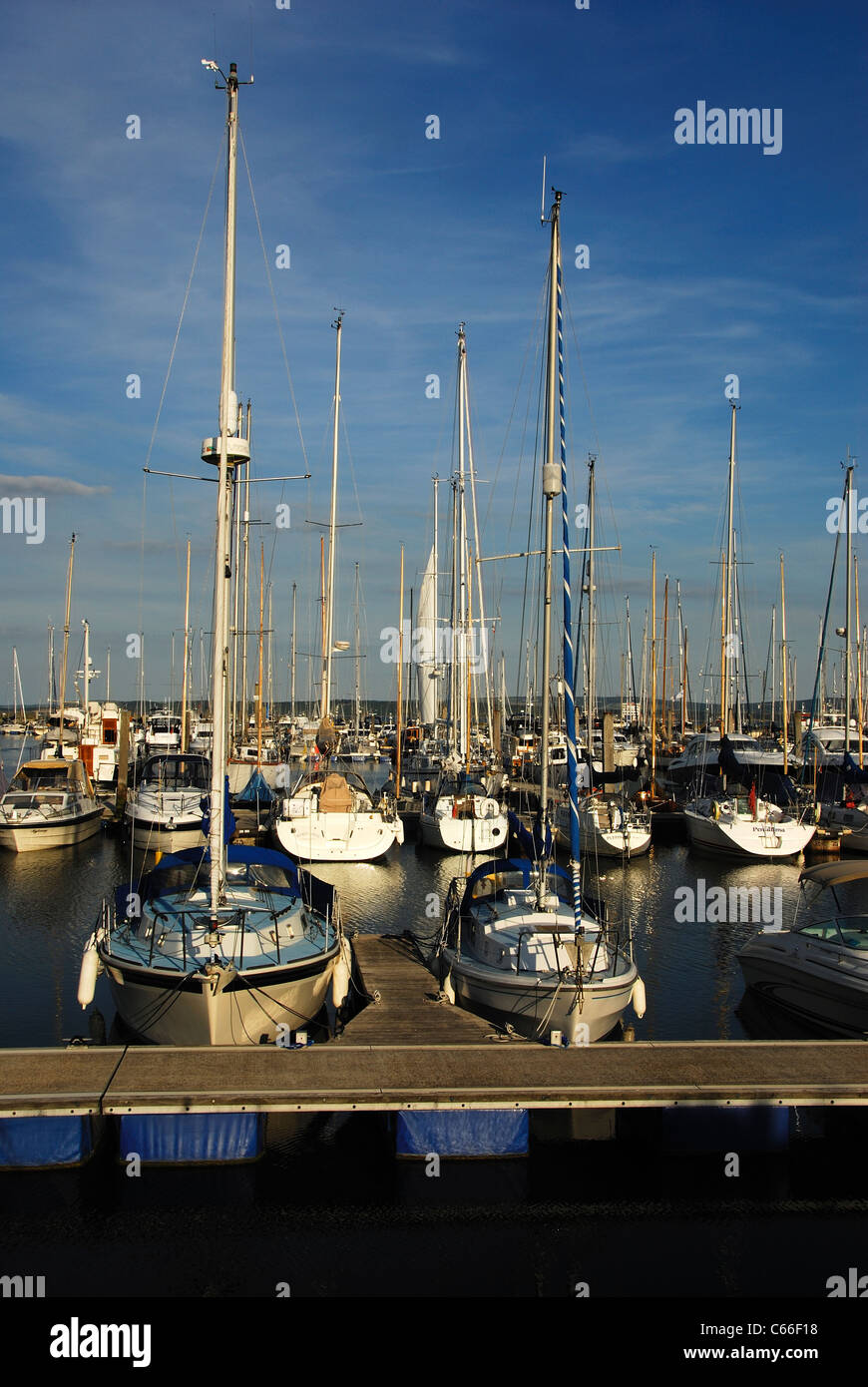 A vertical picture showing many yachts at Lymington Marina Hampshire UK ...
