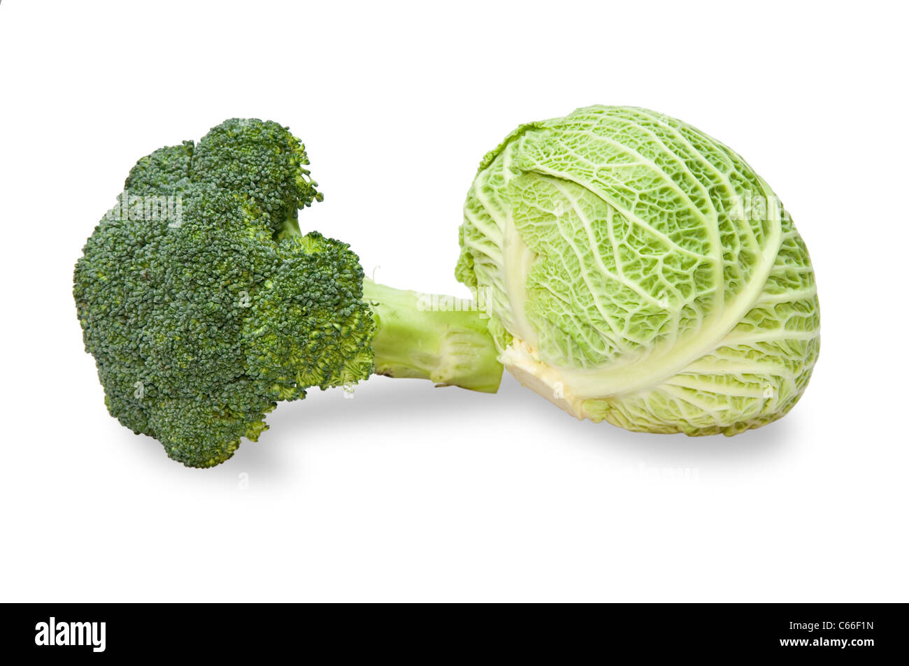Savoy Cabbage and broccoli - Isolated on White Stock Photo - Alamy