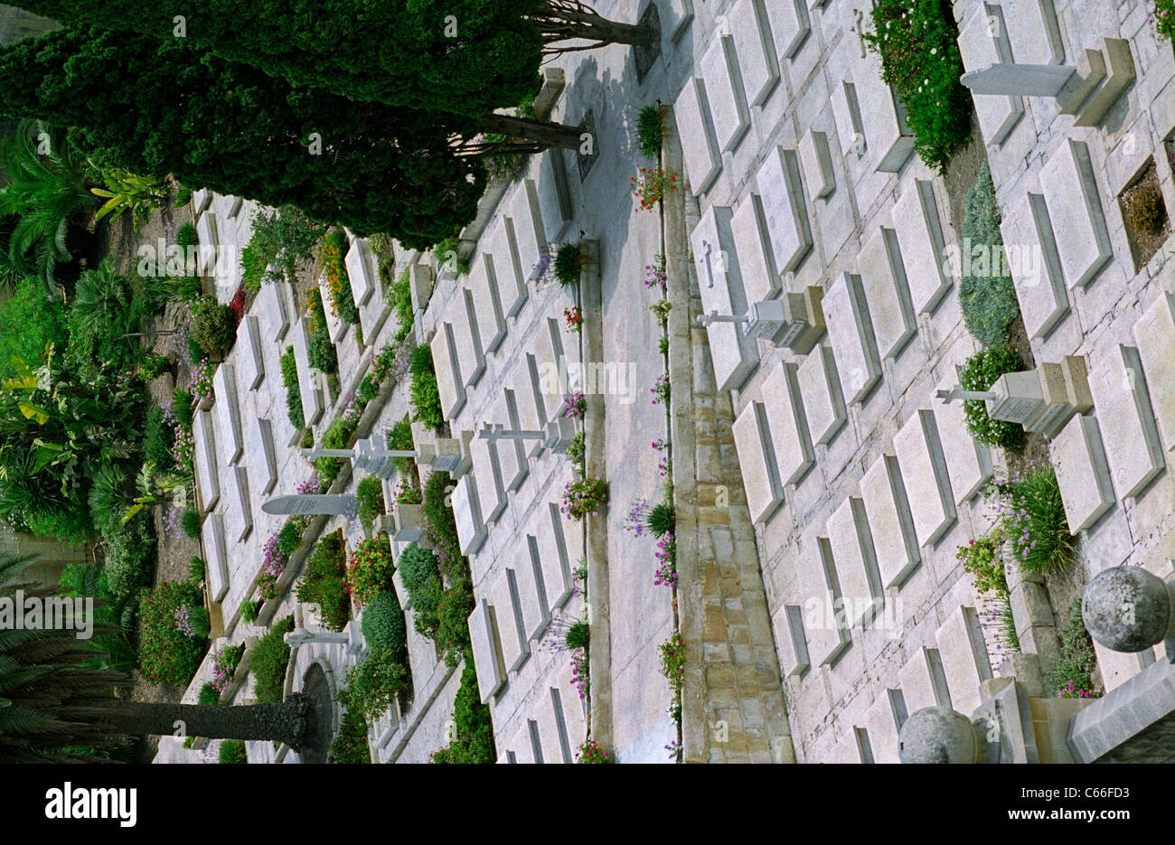 Pieta Military Cemetery, Malta. Maintained by the Commonwealth War ...