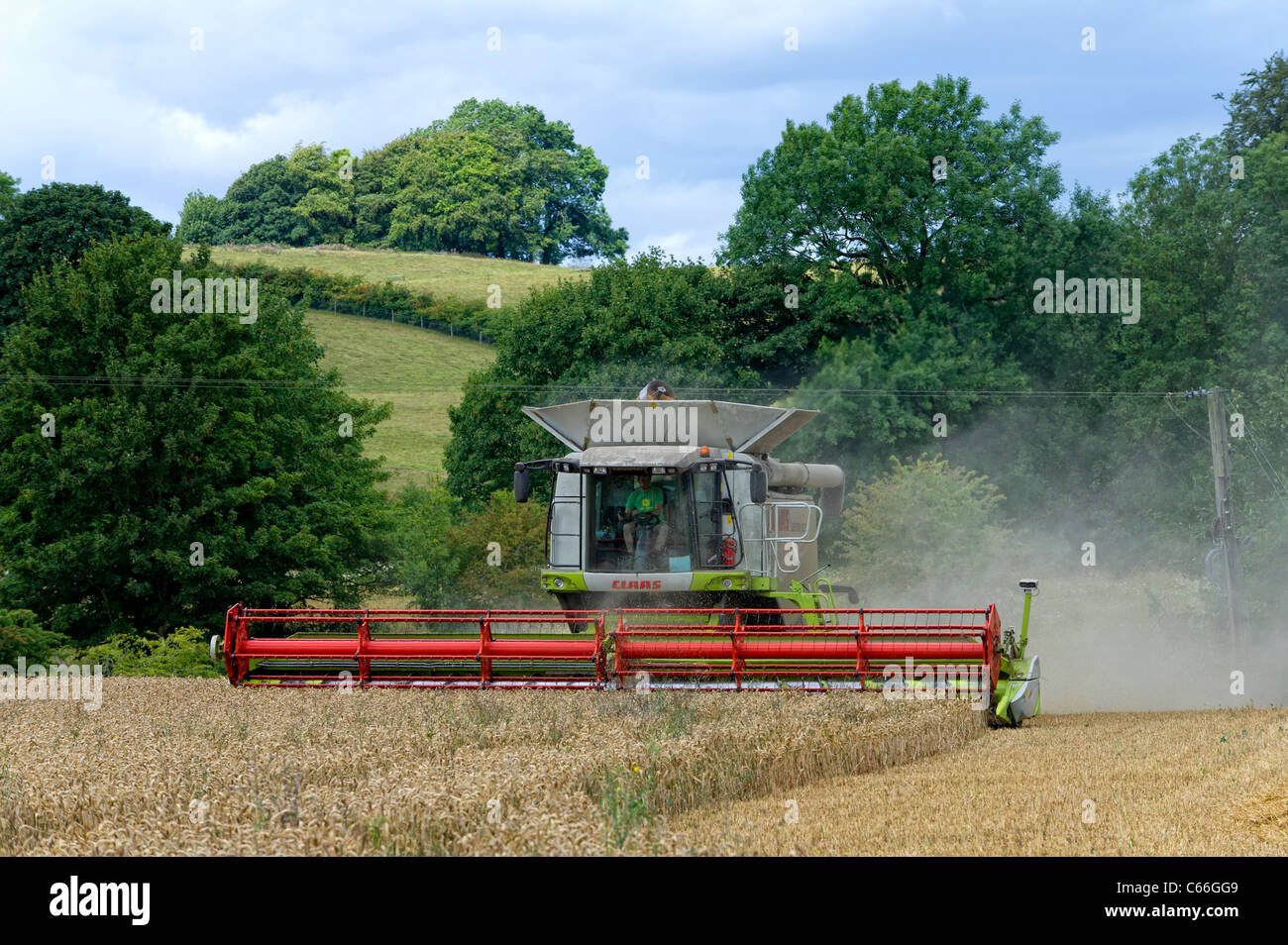 Gathering wheat hi-res stock photography and images - Alamy
