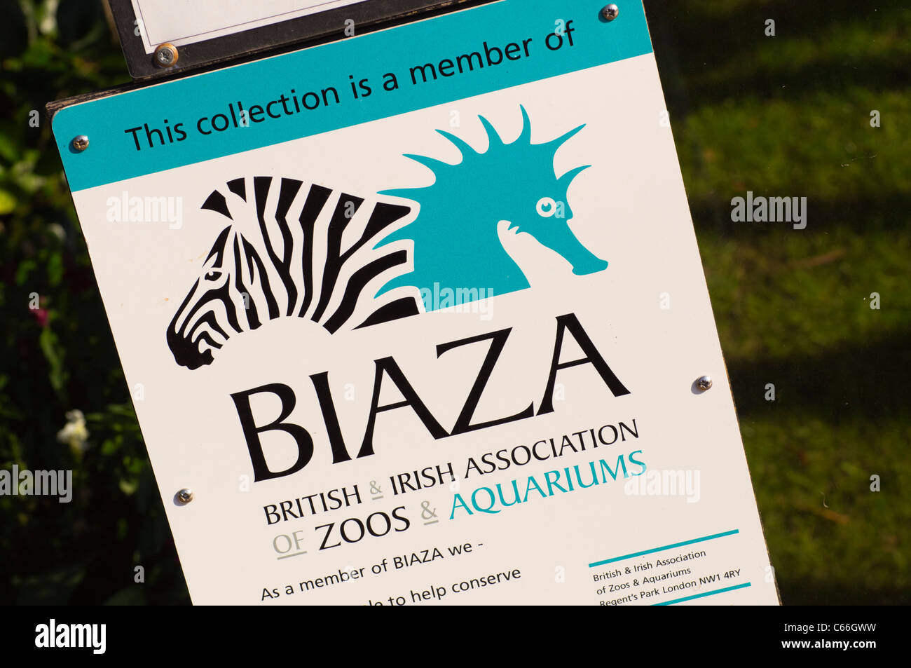 Sign for BIAZA membership - British and Irish Association of Zoos and ...