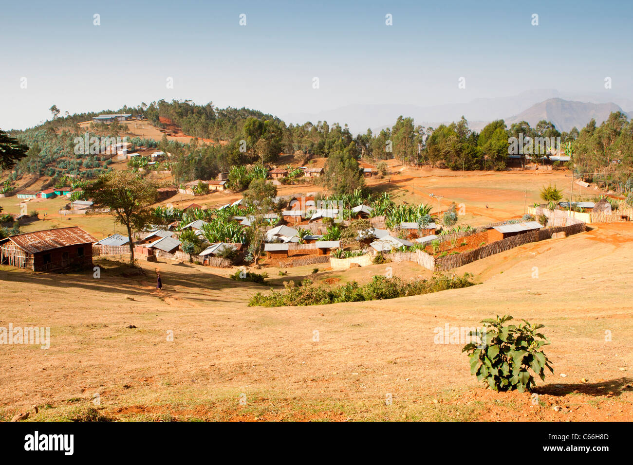 Arba minch hi-res stock photography and images - Alamy