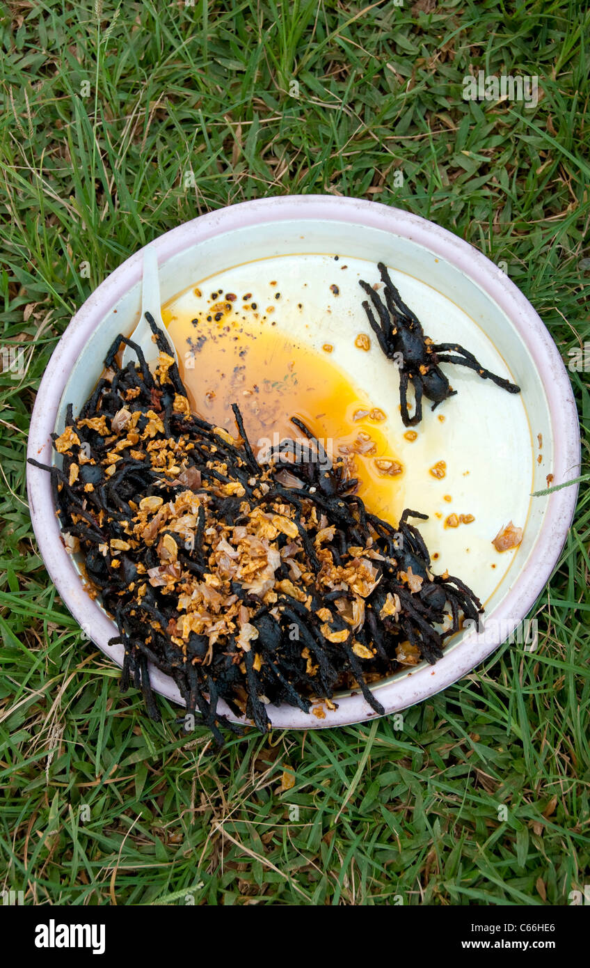 Fried tarantulas for sale in Skuon, Cambodia Stock Photo - Alamy