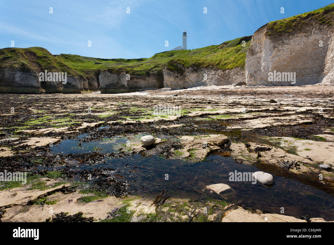 Selwicks hi-res stock photography and images - Alamy