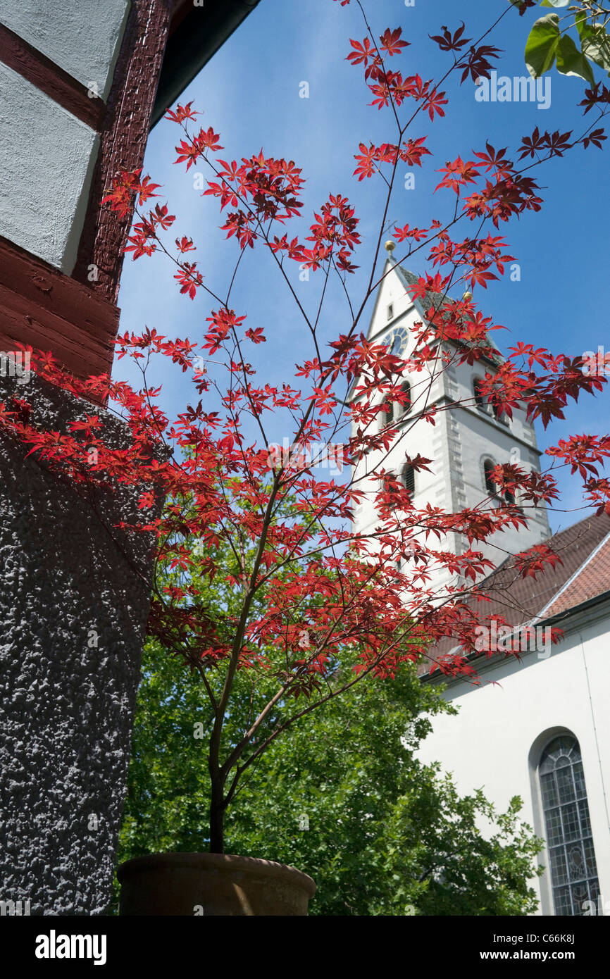 Church plant hi-res stock photography and images - Alamy