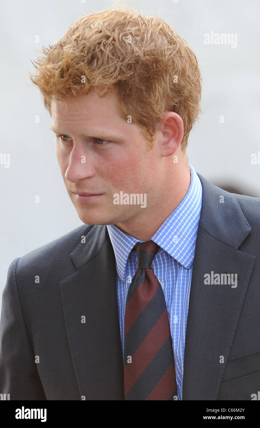 Prince Harry at a public appearance for Prince Harry Address British ...