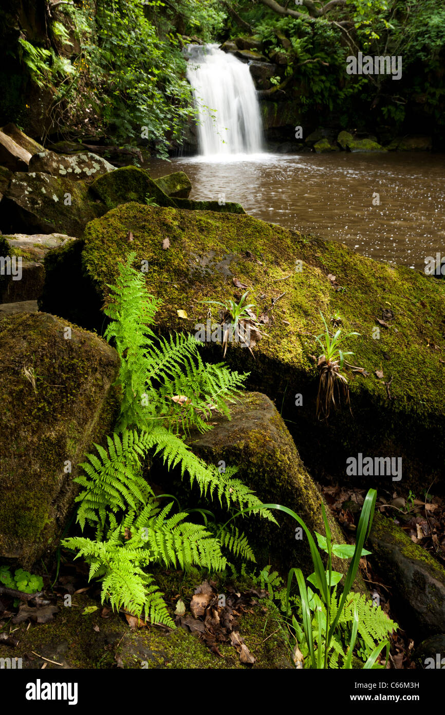 Thomason Foss Waterfall, Beck Hole, North Yorkshire Stock Photo - Alamy