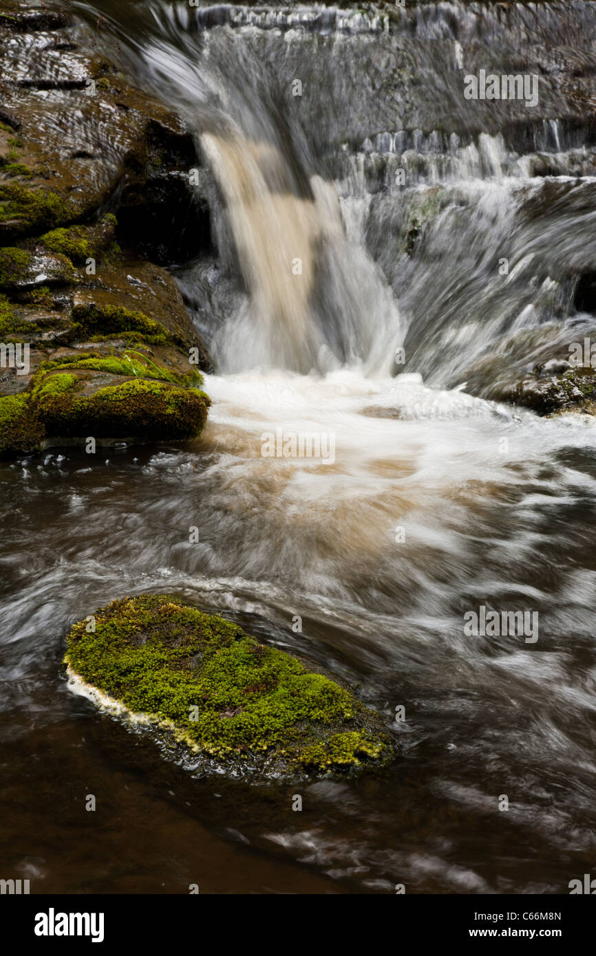 Eller beck hi-res stock photography and images - Alamy
