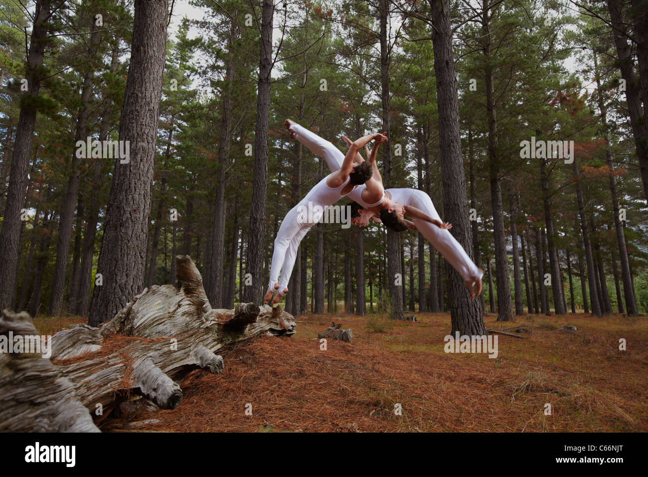 Dancers jumping in forest Stock Photo - Alamy