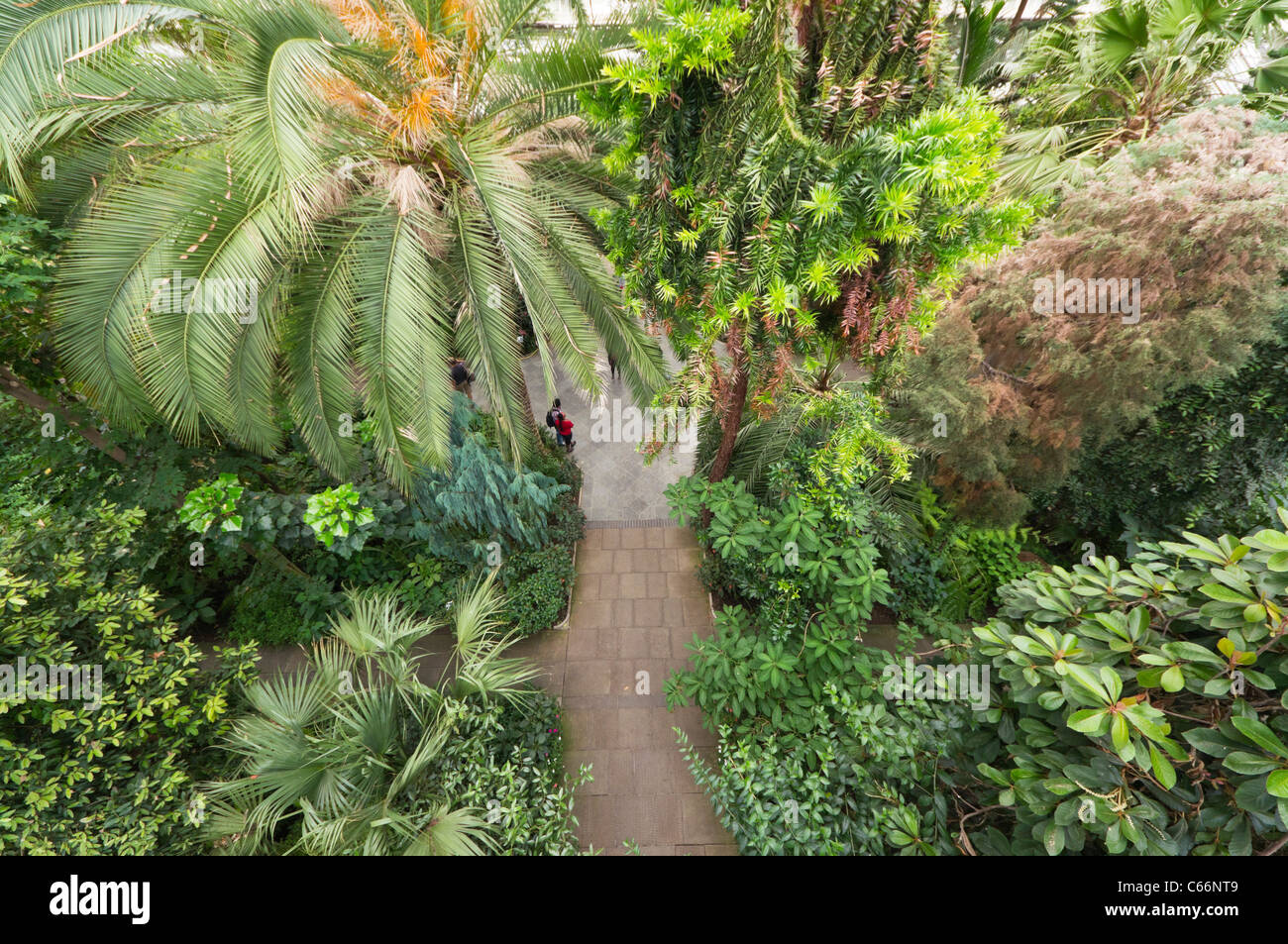 Inside Kew Gardens Temperate House, the largest Victorian iron and ...