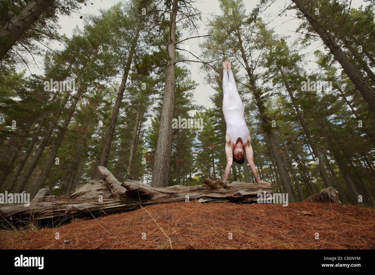 Dancer posing on log in forest Stock Photo - Alamy