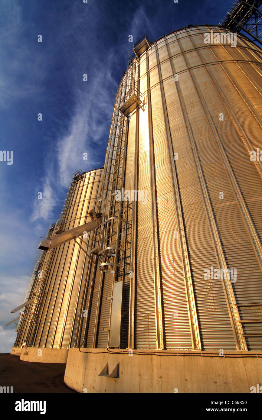 Modern steel grain silo hi-res stock photography and images - Alamy