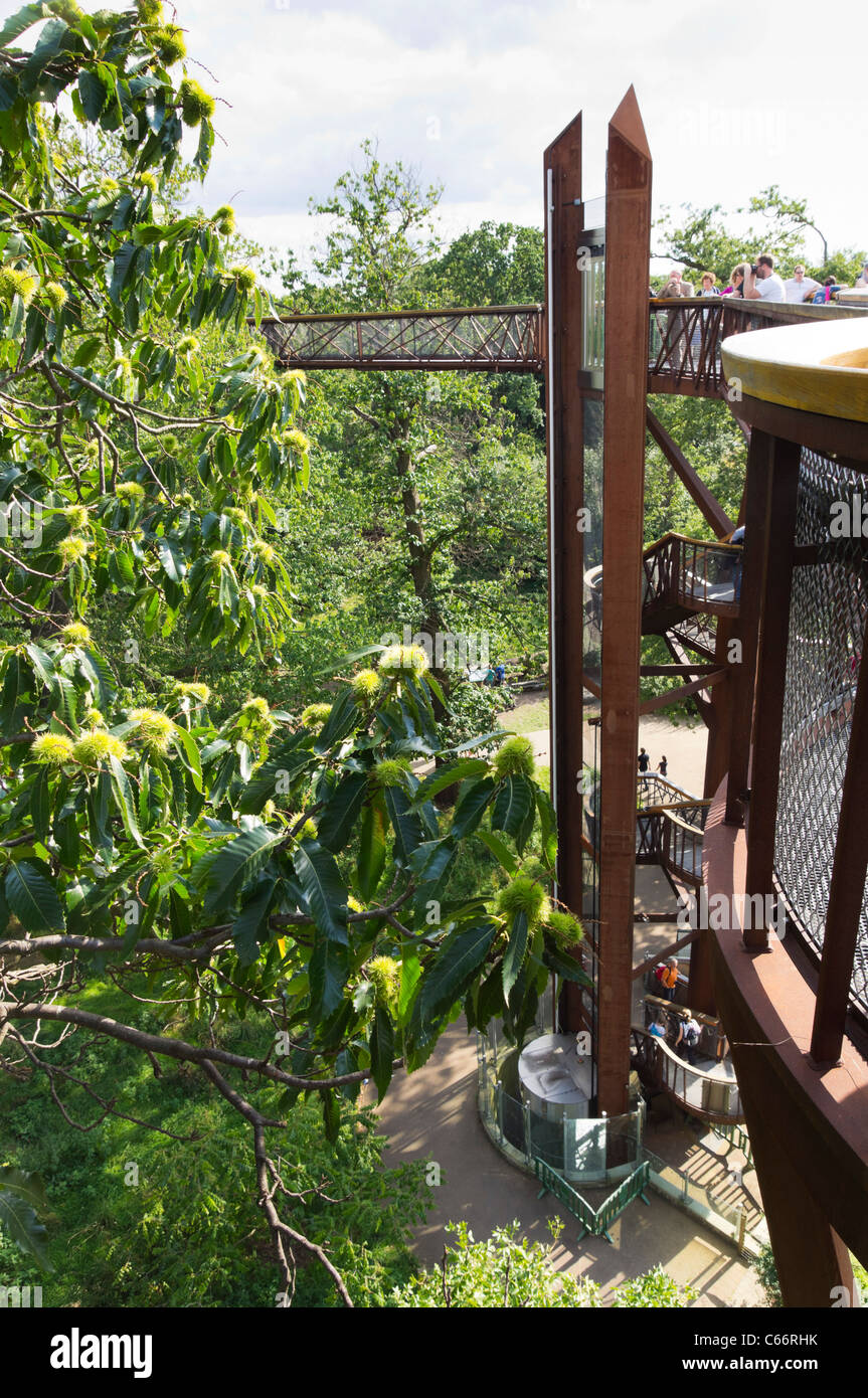 London treetop walkway hi-res stock photography and images - Alamy