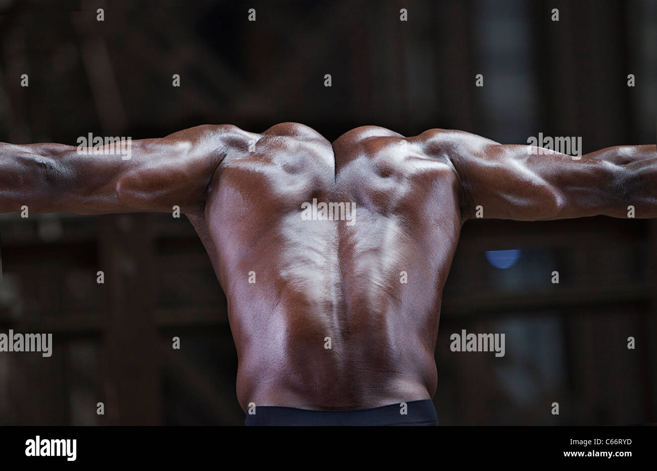 Close up of athlete’s muscular back Stock Photo - Alamy