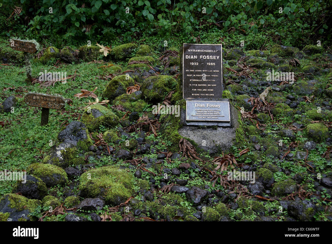 Dian Fossey's grave next to Digit's grave, Mountain gorilla grave yard ...