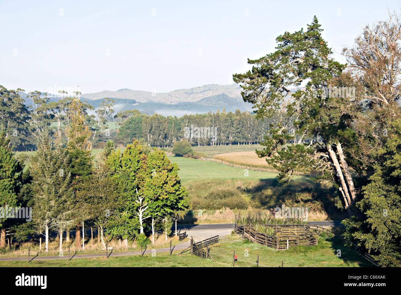 Paronga hi-res stock photography and images - Alamy