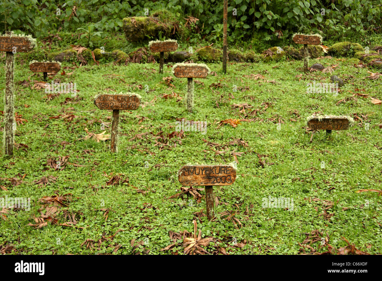 Dian Fossey, Karisoke, gorilla grave yard Stock Photo - Alamy