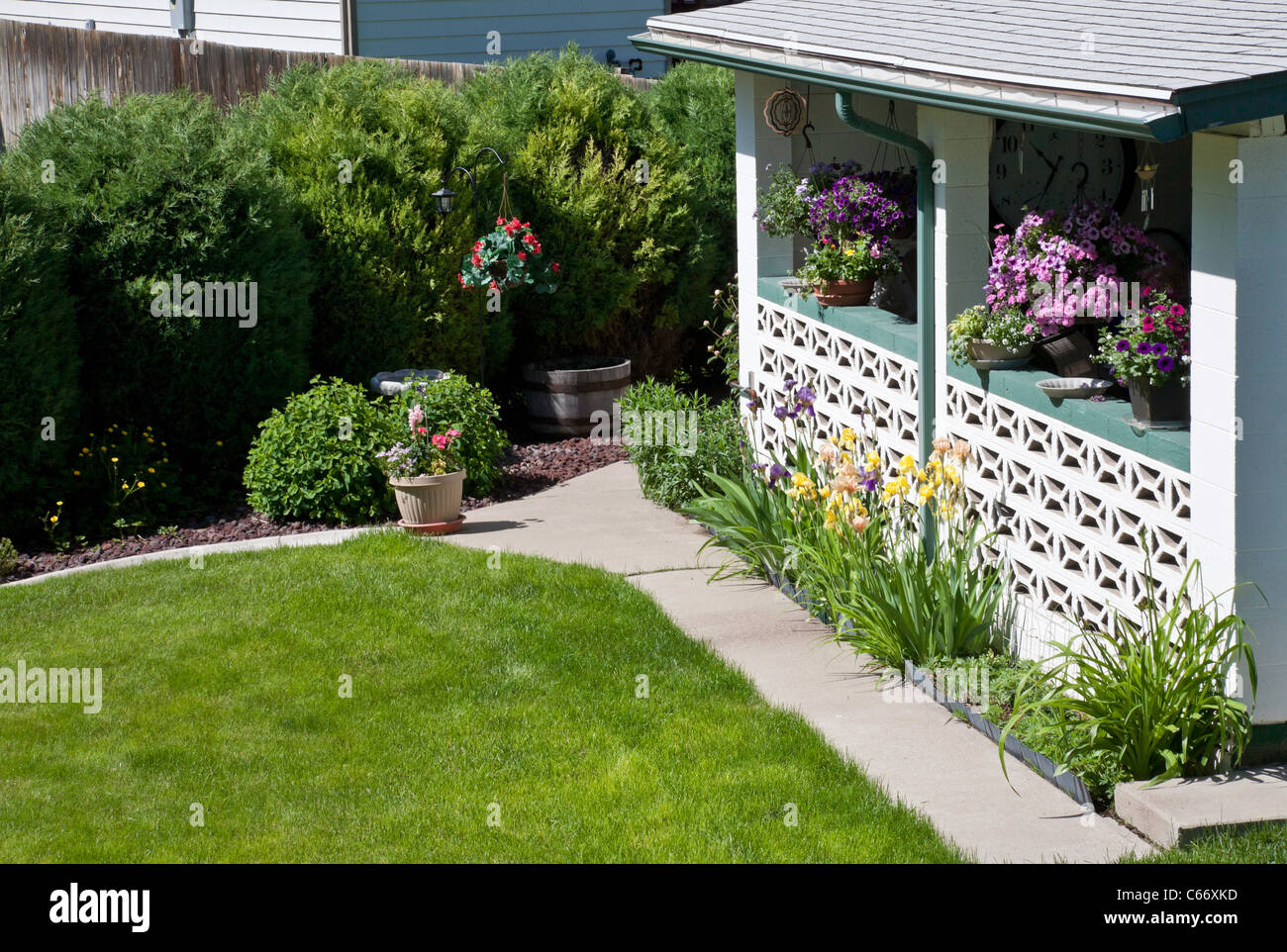 Backyards in Residential Middle Class Neighborhood, USA Stock Photo - Alamy