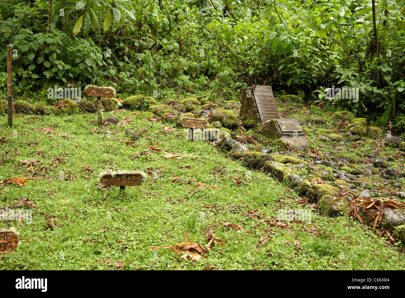 Dian Fossey, Karisoke, gorilla grave yard Stock Photo - Alamy