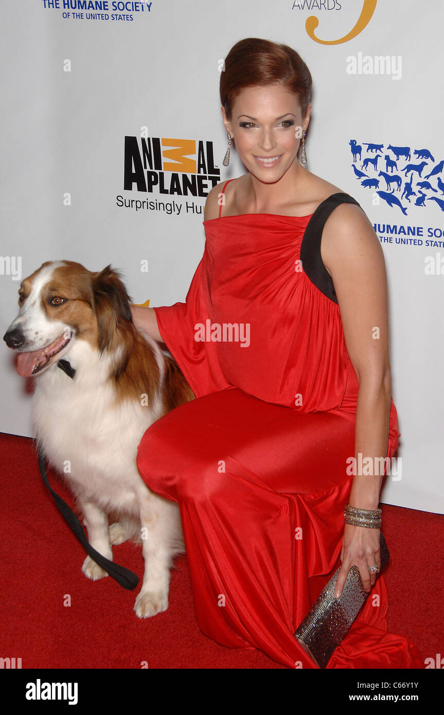 Amanda Righetti in attendance for The 25th Anniversary Genesis Awards ...