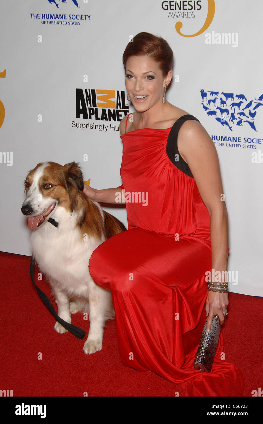 Amanda Righetti in attendance for The 25th Anniversary Genesis Awards ...