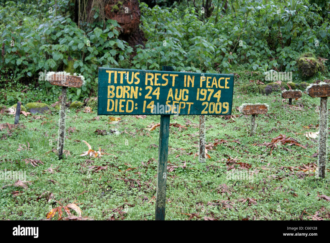 Dian Fossey, Karisoke, gorilla grave yard Stock Photo - Alamy