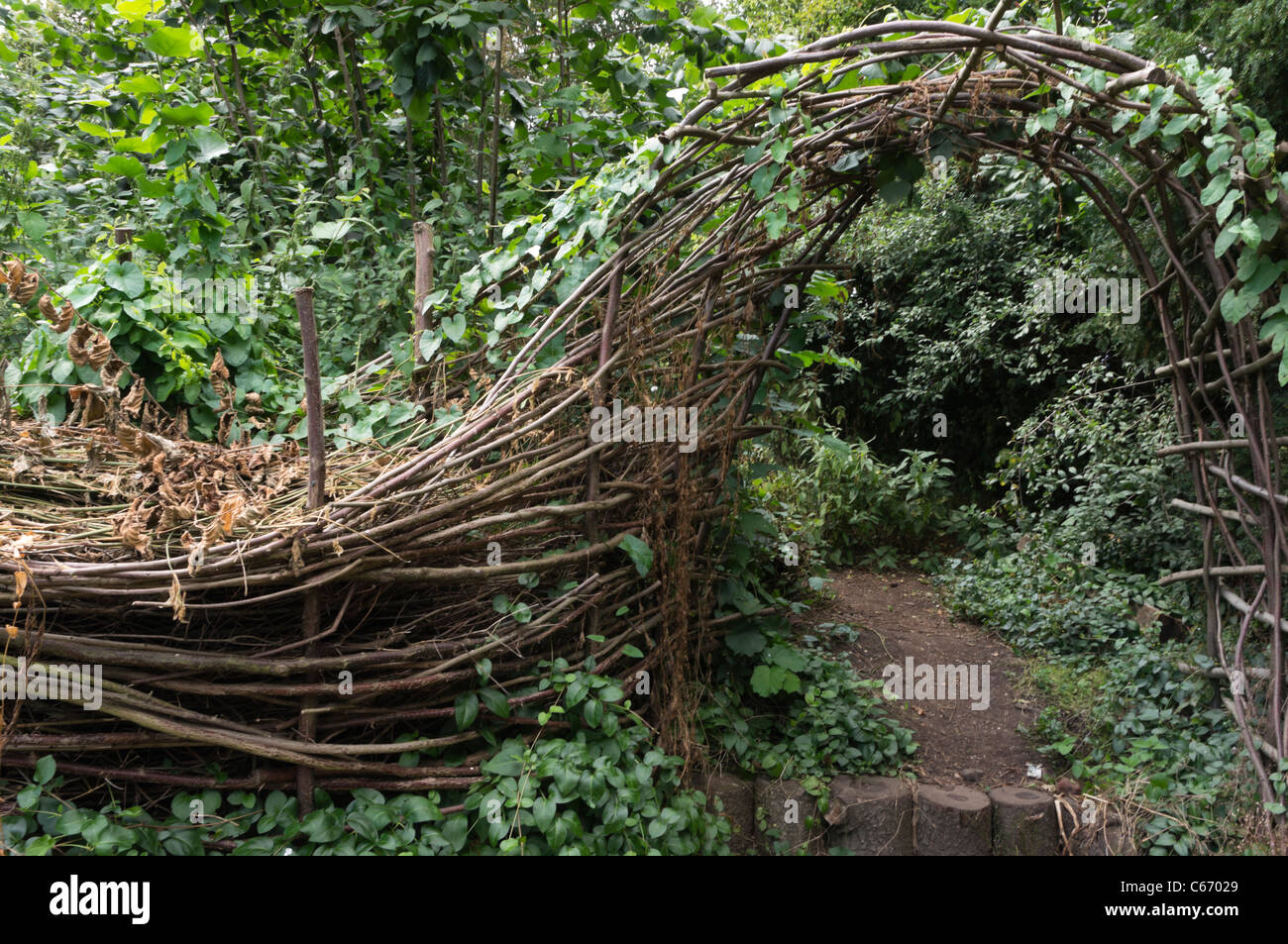 A hedge barrier woven from sticks and filled with garden clippings ...