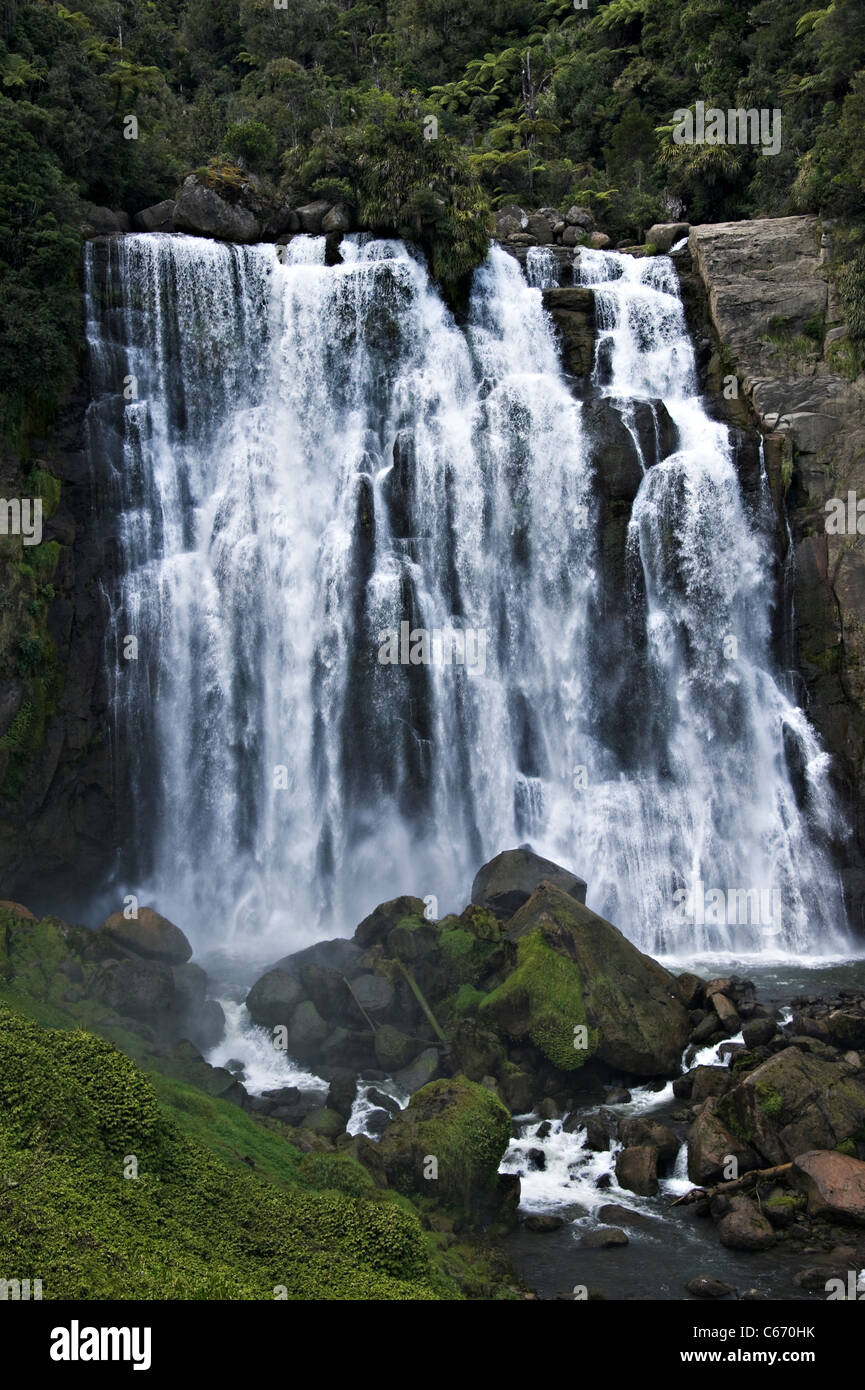 The Beautiful Marokopa Falls in the Tawarau Forest near Te Anga Waitomo ...