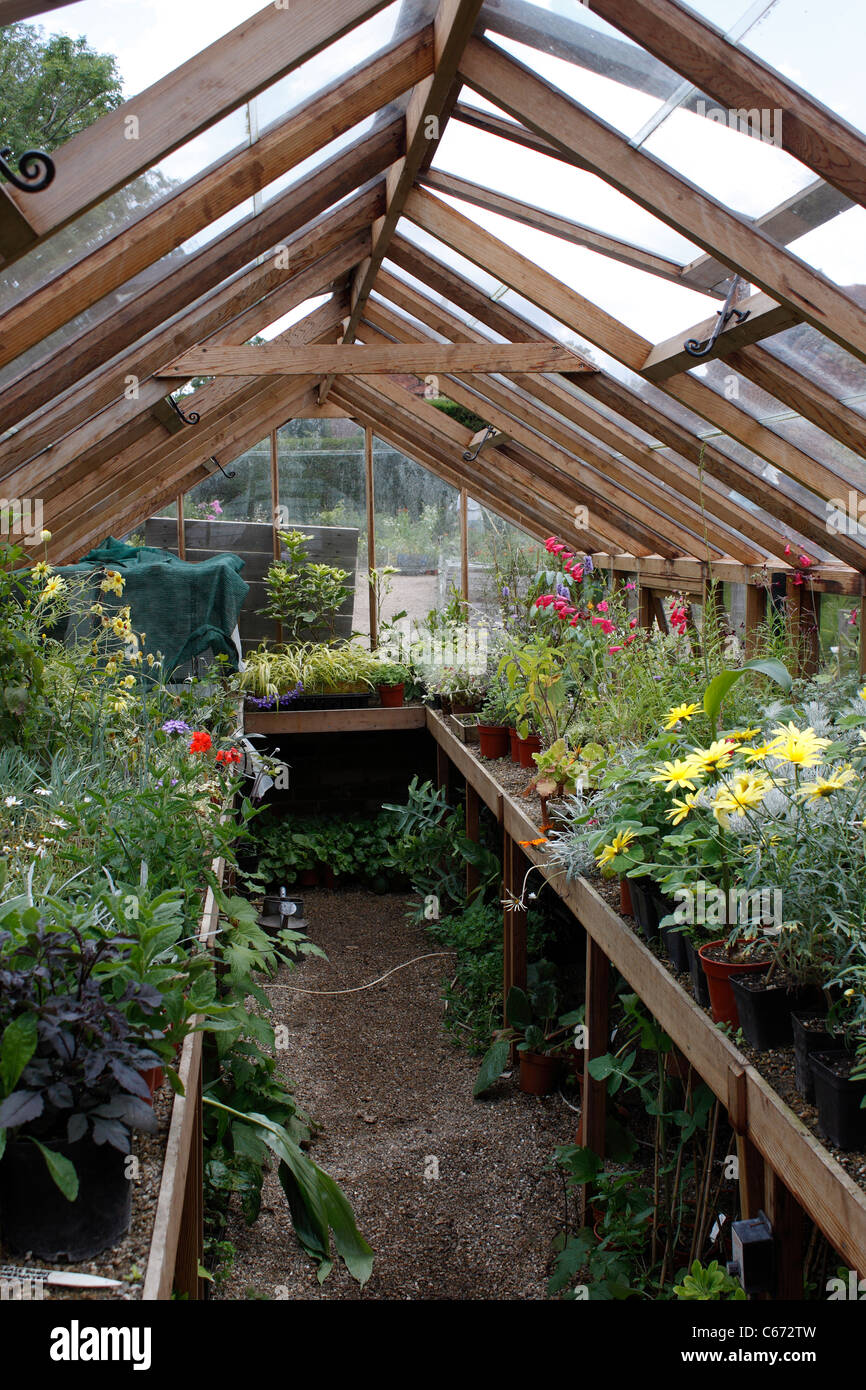 Crowded greenhouse hi-res stock photography and images - Alamy