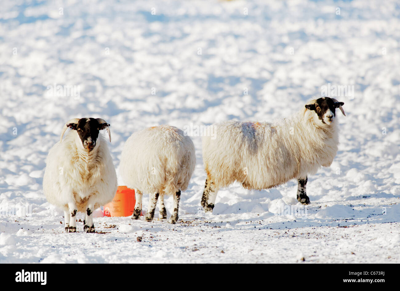 Months of cold weather hi-res stock photography and images - Alamy