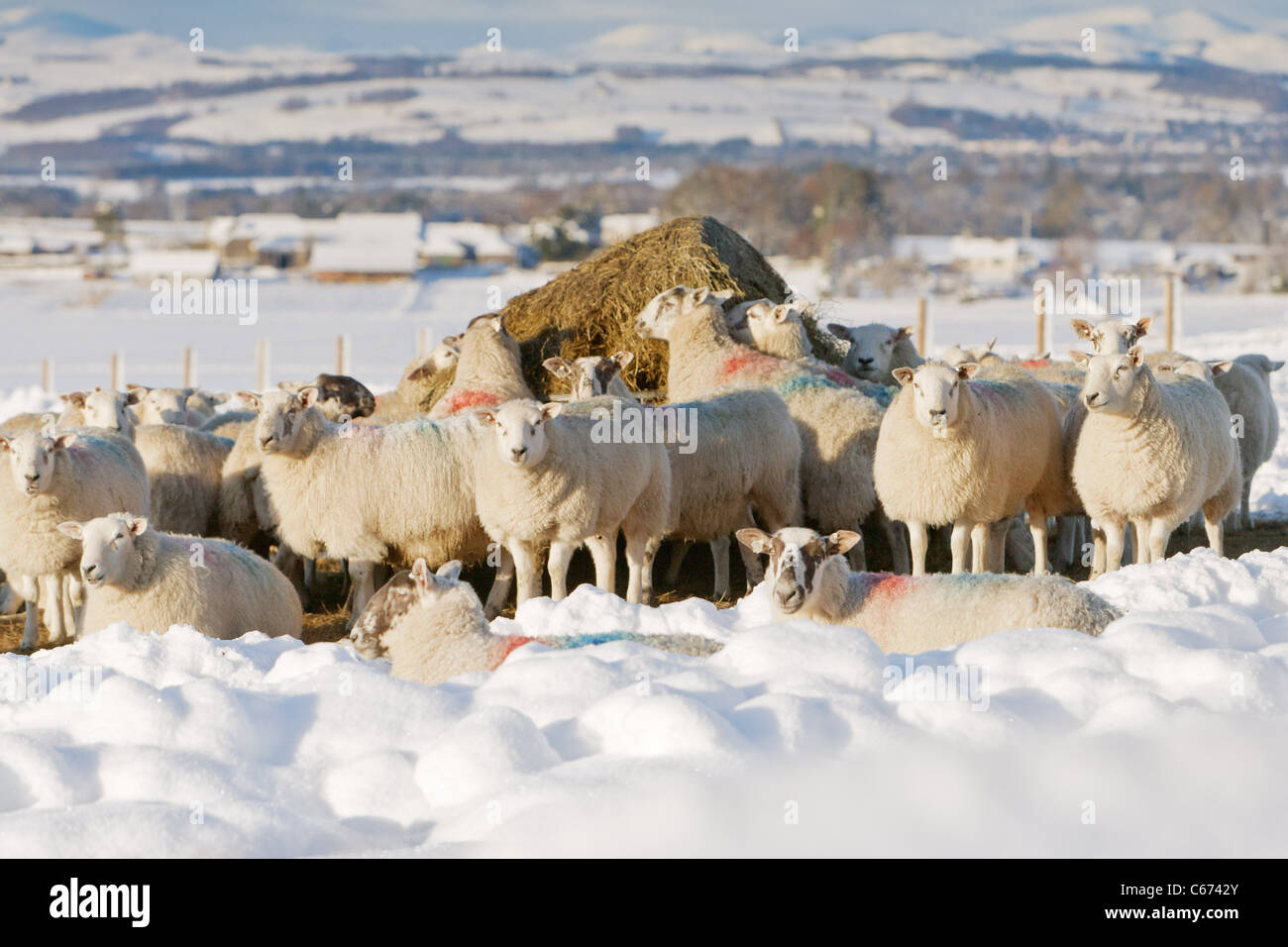 Uk rural winter cold people hi-res stock photography and images - Alamy