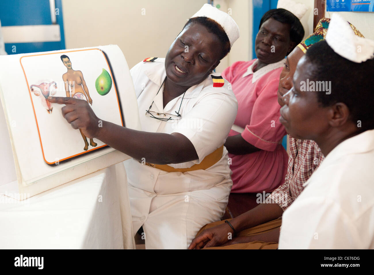 Cervical hi-res stock photography and images - Alamy