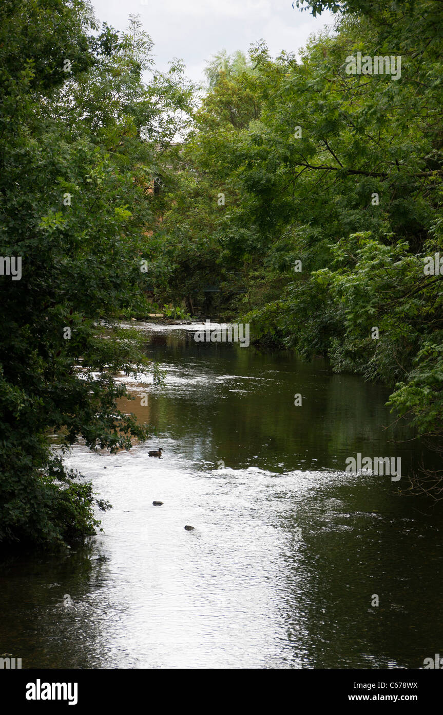Hogsmill surrey hi-res stock photography and images - Alamy