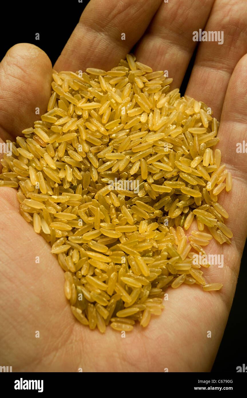 A handful of rice Stock Photo - Alamy