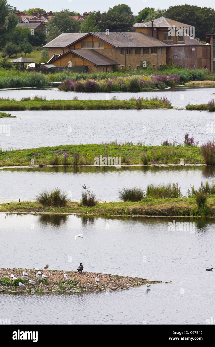 London Wetland Centre, Barnes - WWT site. A view over the lagoons to ...