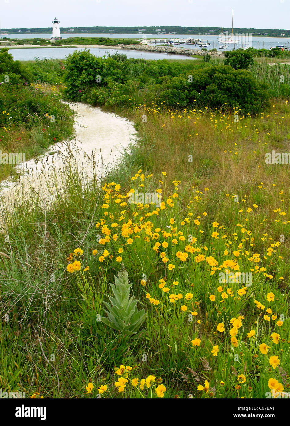 Edgartown Lighthouse, Martha's Vineyard, Massachusetts Stock Photo - Alamy