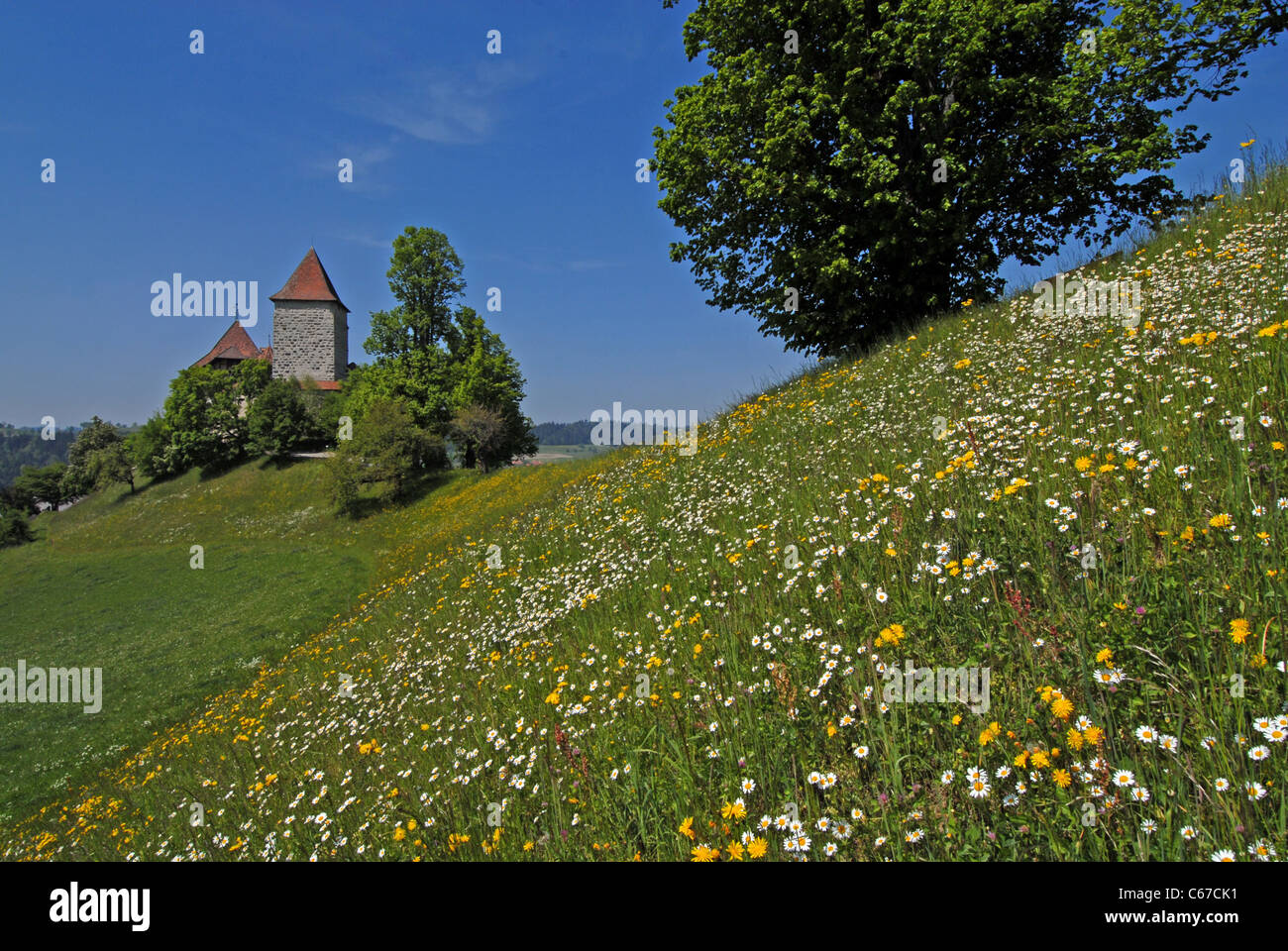 Trachselwald castle hi-res stock photography and images - Alamy