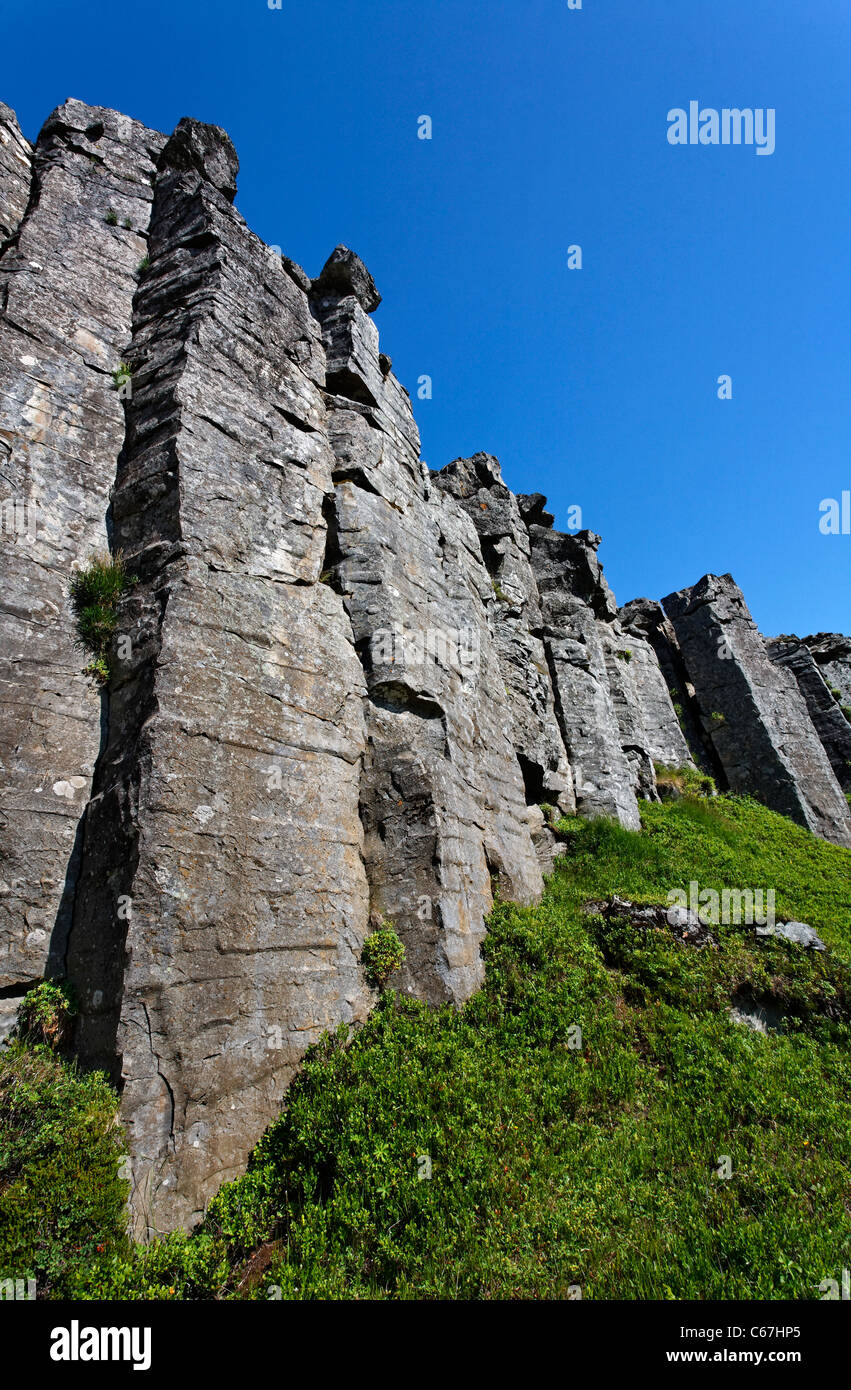 Basalt columns at Gerduberg, Snaefellsnes Peninsula, Iceland Stock ...