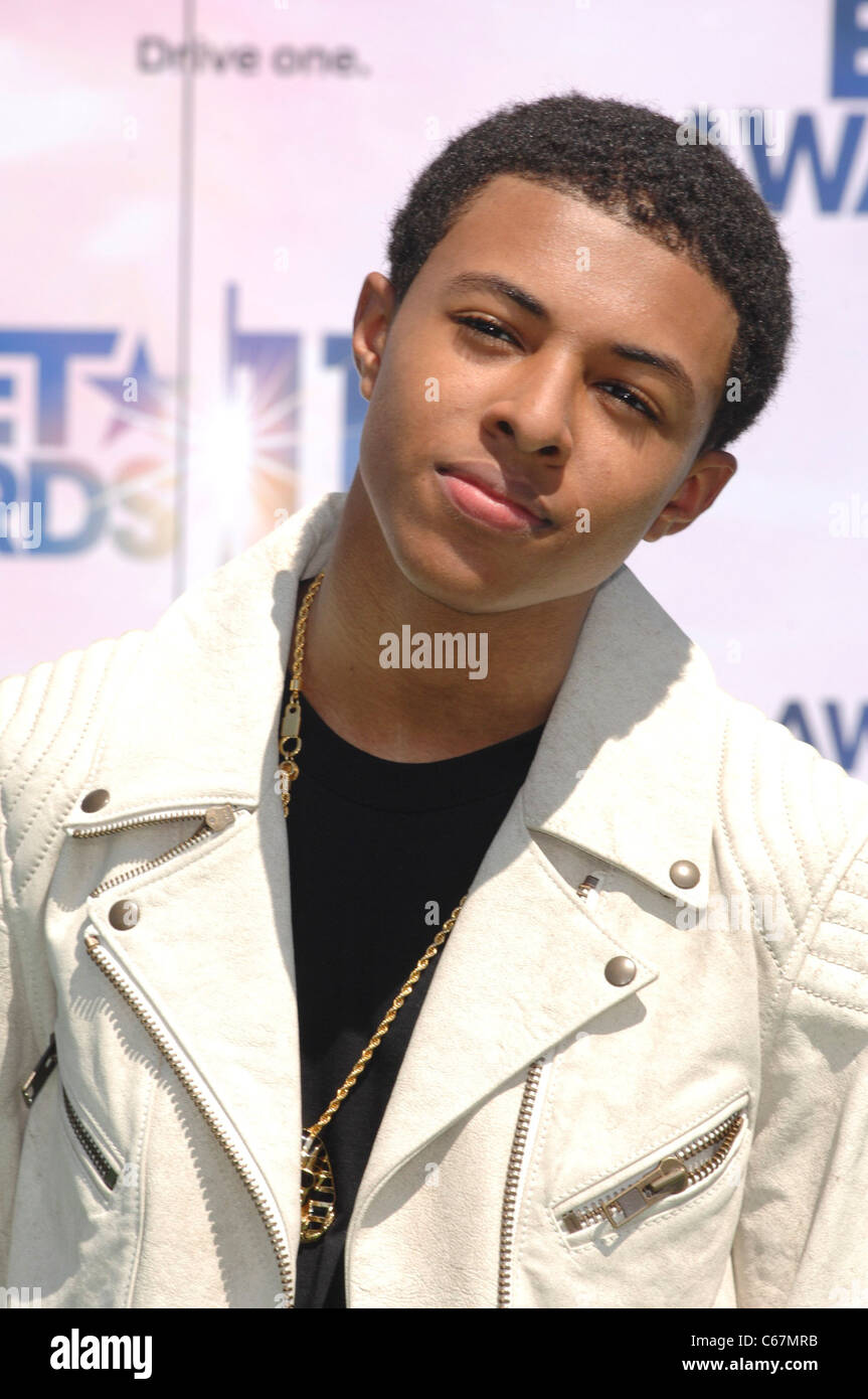 Diggy From Runs House