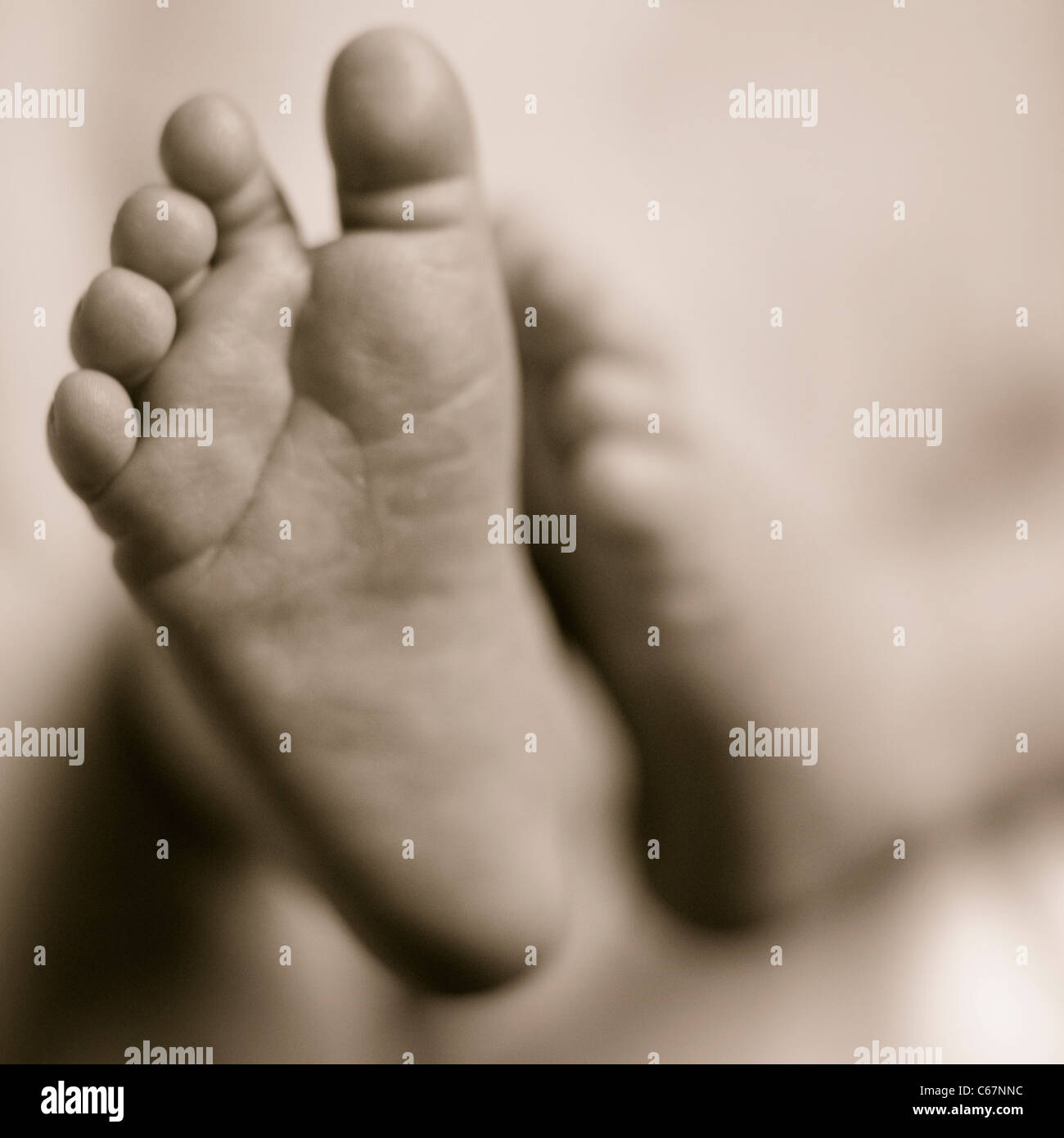 Caucasian new born feet-closeup Stock Photo - Alamy