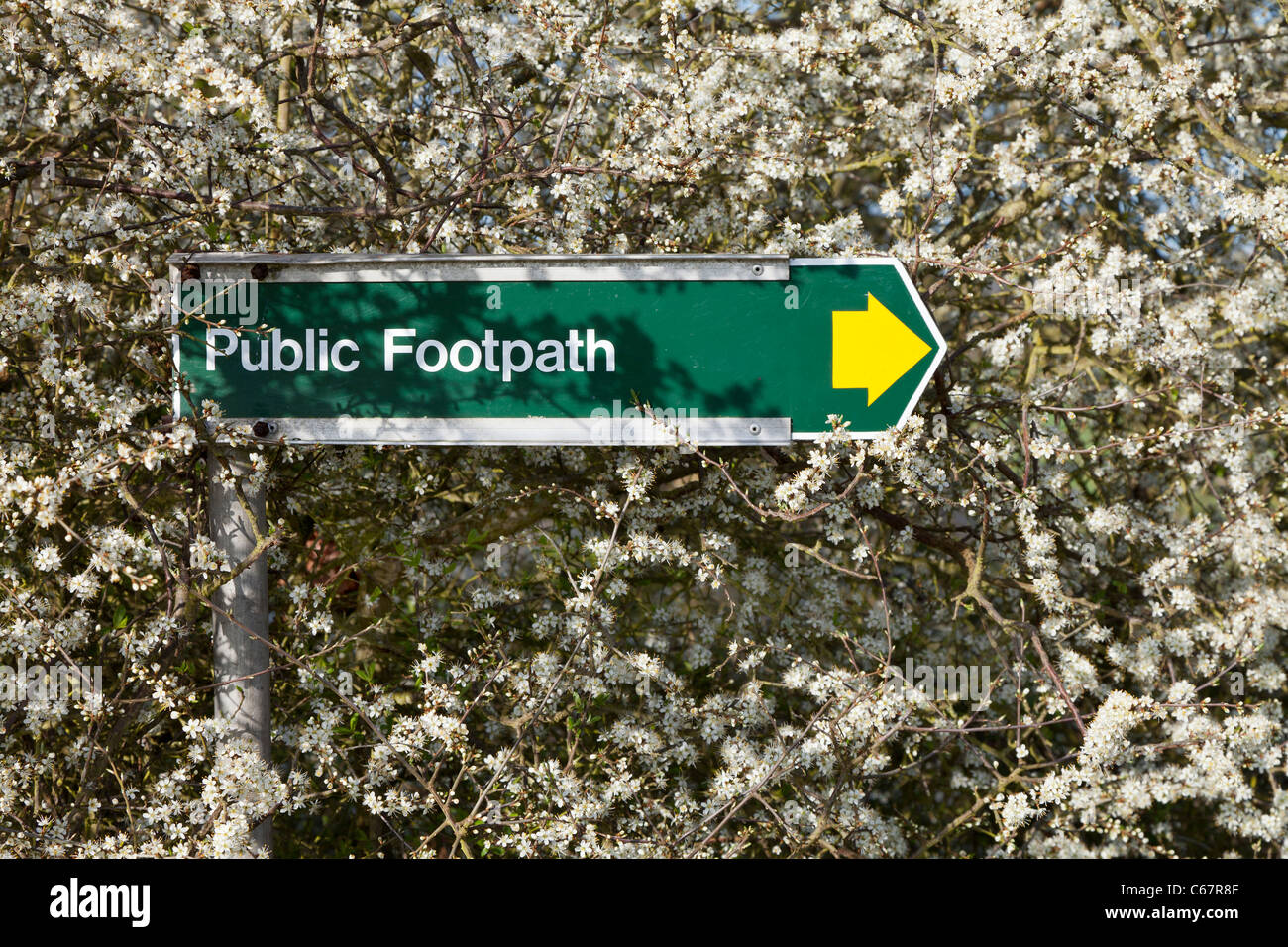 Metal public footpath direction sign yellow arrow fresh spring white ...