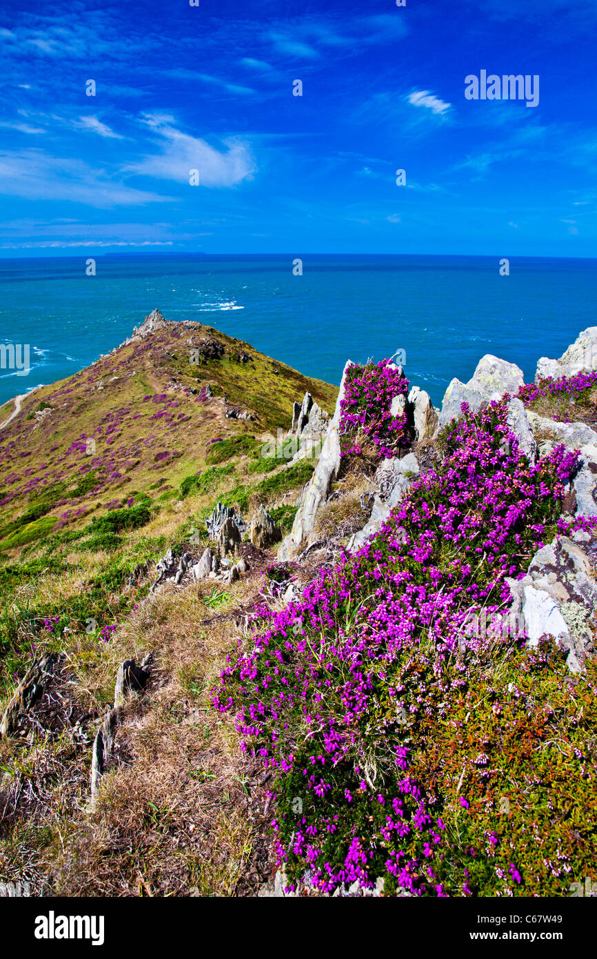 Morte Point near Morthoe, Woolacombe with a view over the Bristol ...