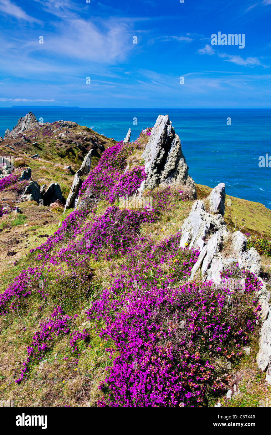 Morte point near morthoe woolacombe hi-res stock photography and images ...