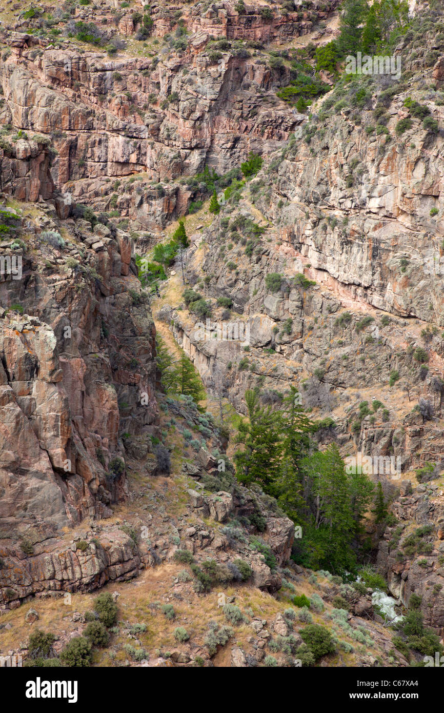 Shell creek bighorn national forest hi-res stock photography and images ...