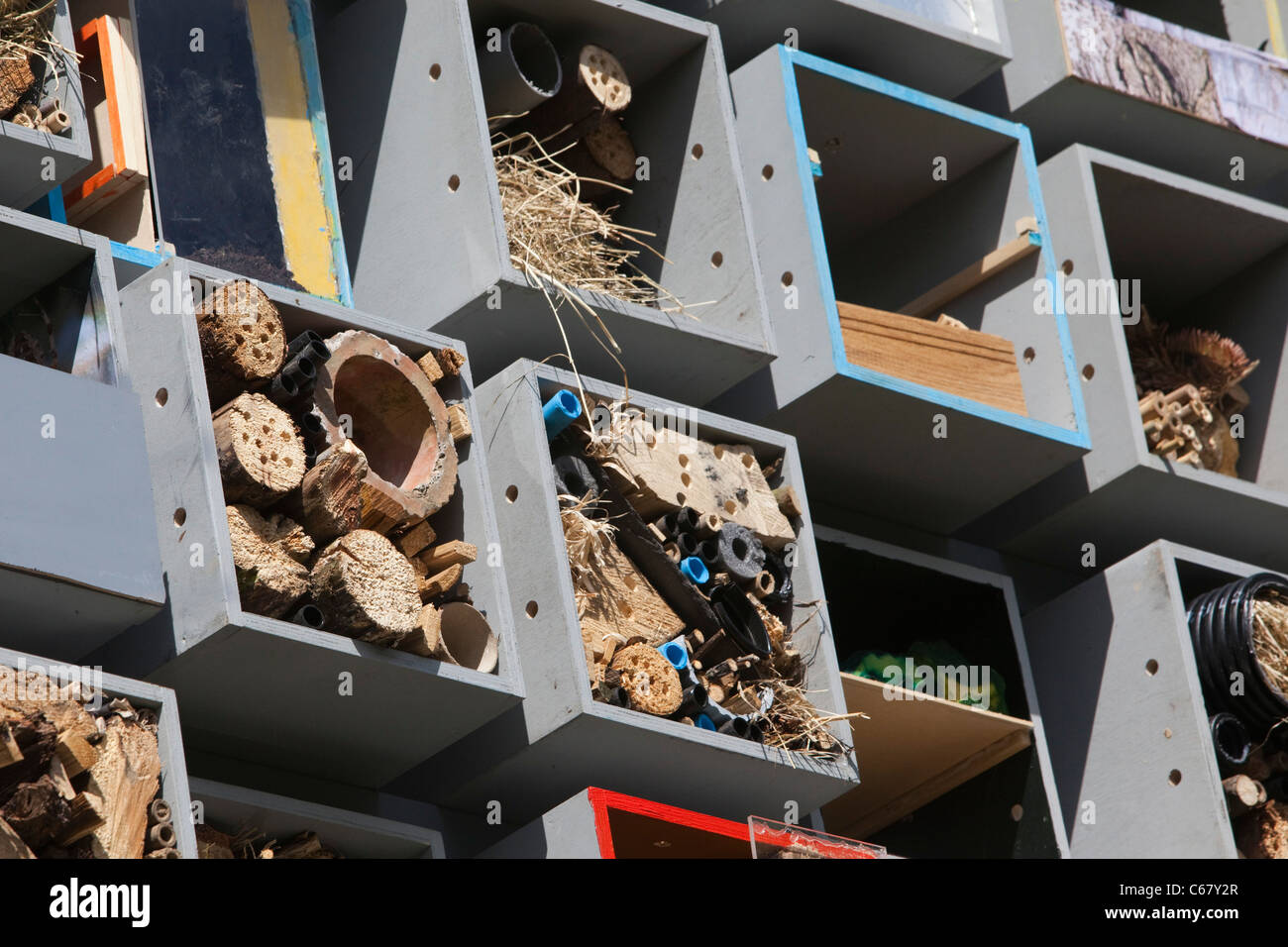 Bugs boxes hi-res stock photography and images - Alamy