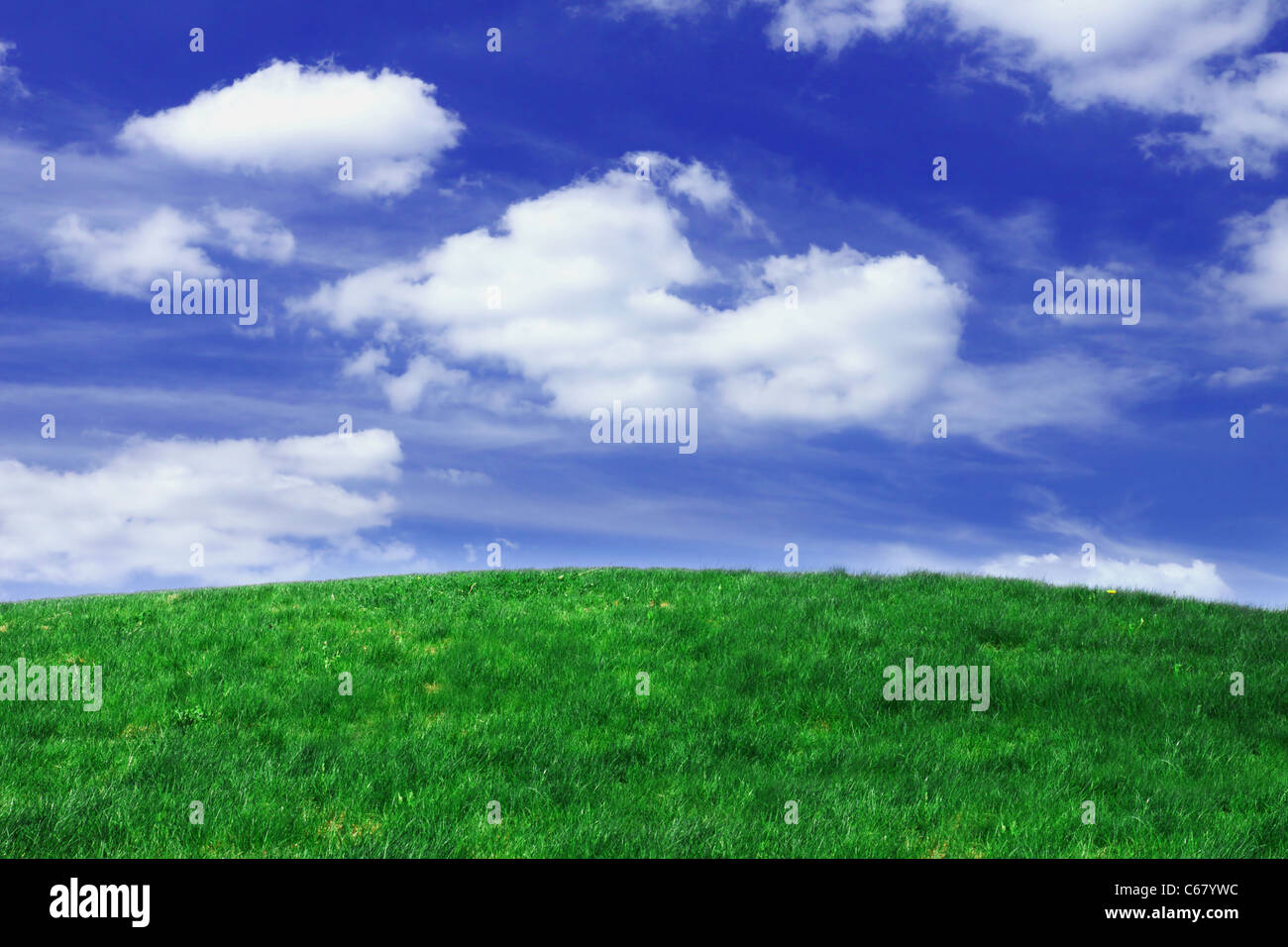 Green grass landscape blue sky for Backgrounds and design Stock Photo ...