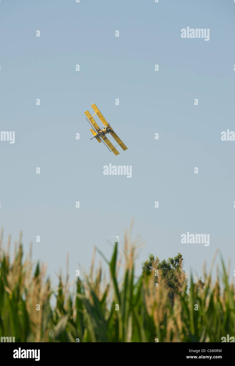 Cropduster hi-res stock photography and images - Alamy